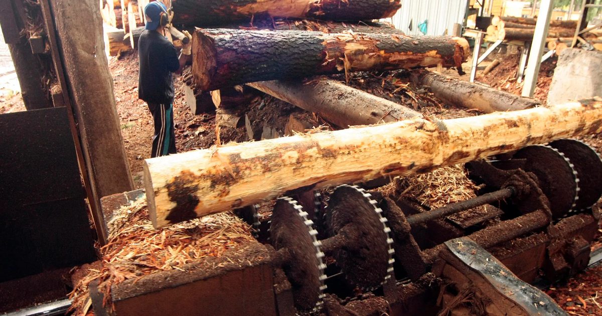 Sensores de posición lineal con tolerancia a la… - Urany Chile